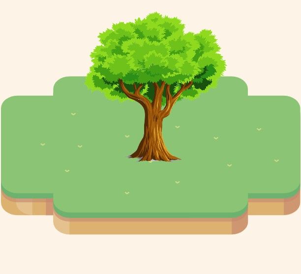 LSS Transport Systems in Plants & Humans